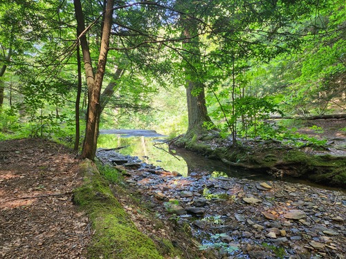 Ash Cave at Hocking Hills State Park